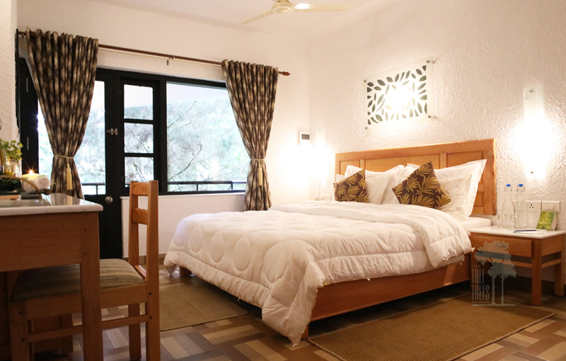 Kerala 5-Day Luxury Family Tour: Backwaters & Munnar